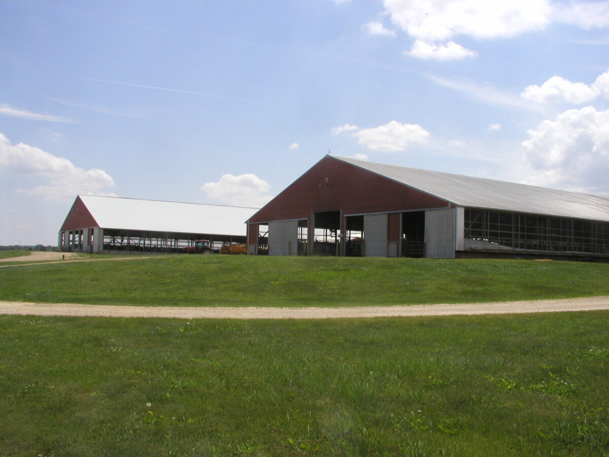 Conventional Adult Cow Freestall Barns - The Dairyland Initiative