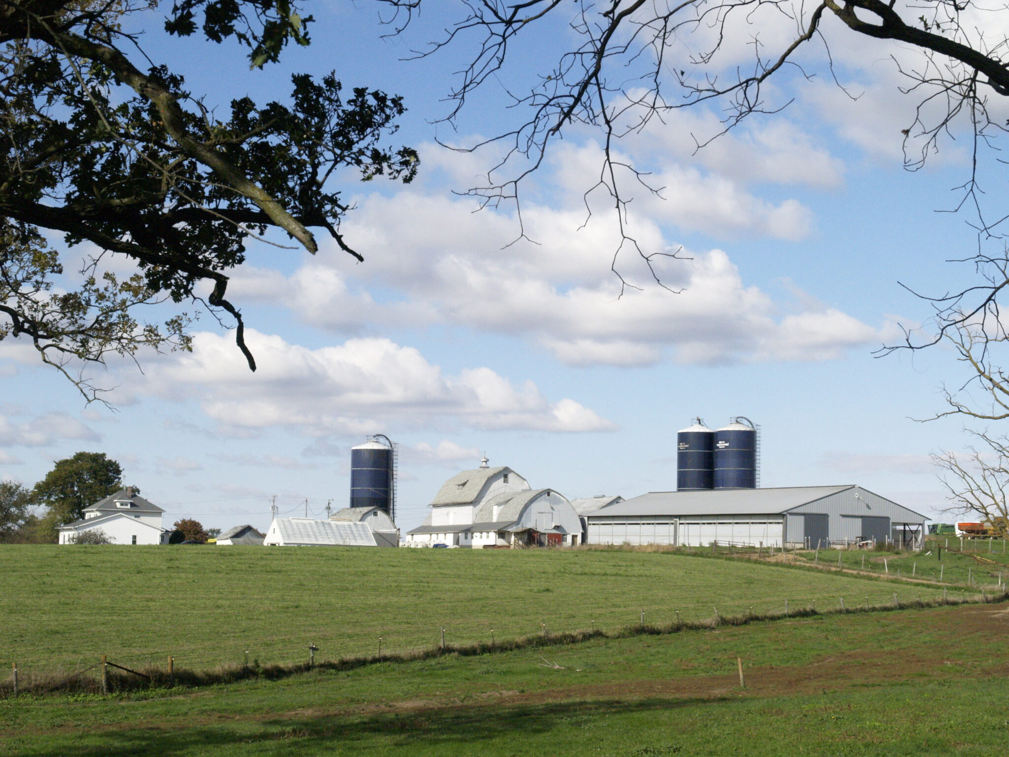 Conventional Adult Cow Freestall Barns - The Dairyland Initiative