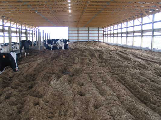 Bedded Packs - The Dairyland Initiative