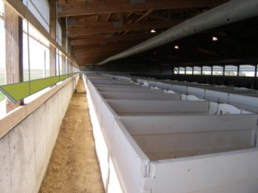 Calf Barn Design - The Dairyland Initiative