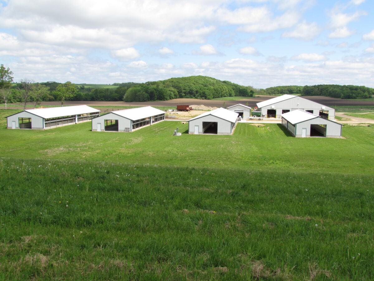 Nursing Calf Barn A - The Dairyland Initiative