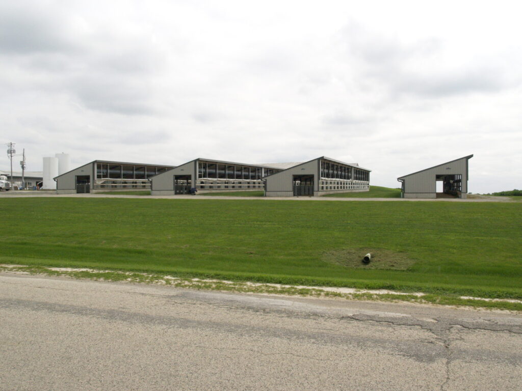 Calf Barn Design - The Dairyland Initiative