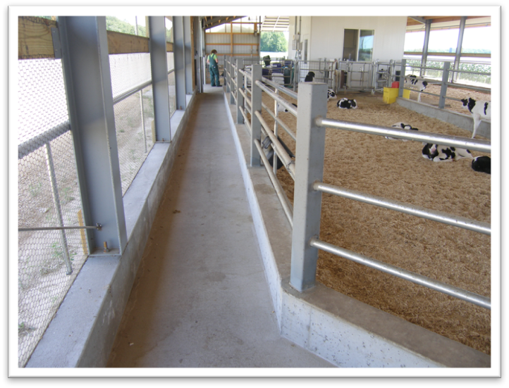 Calf Barn Design - The Dairyland Initiative