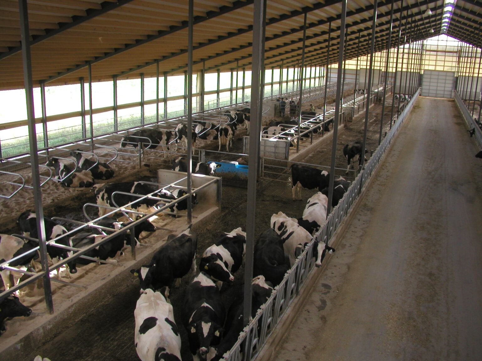 Transition Cow Barns - The Dairyland Initiative