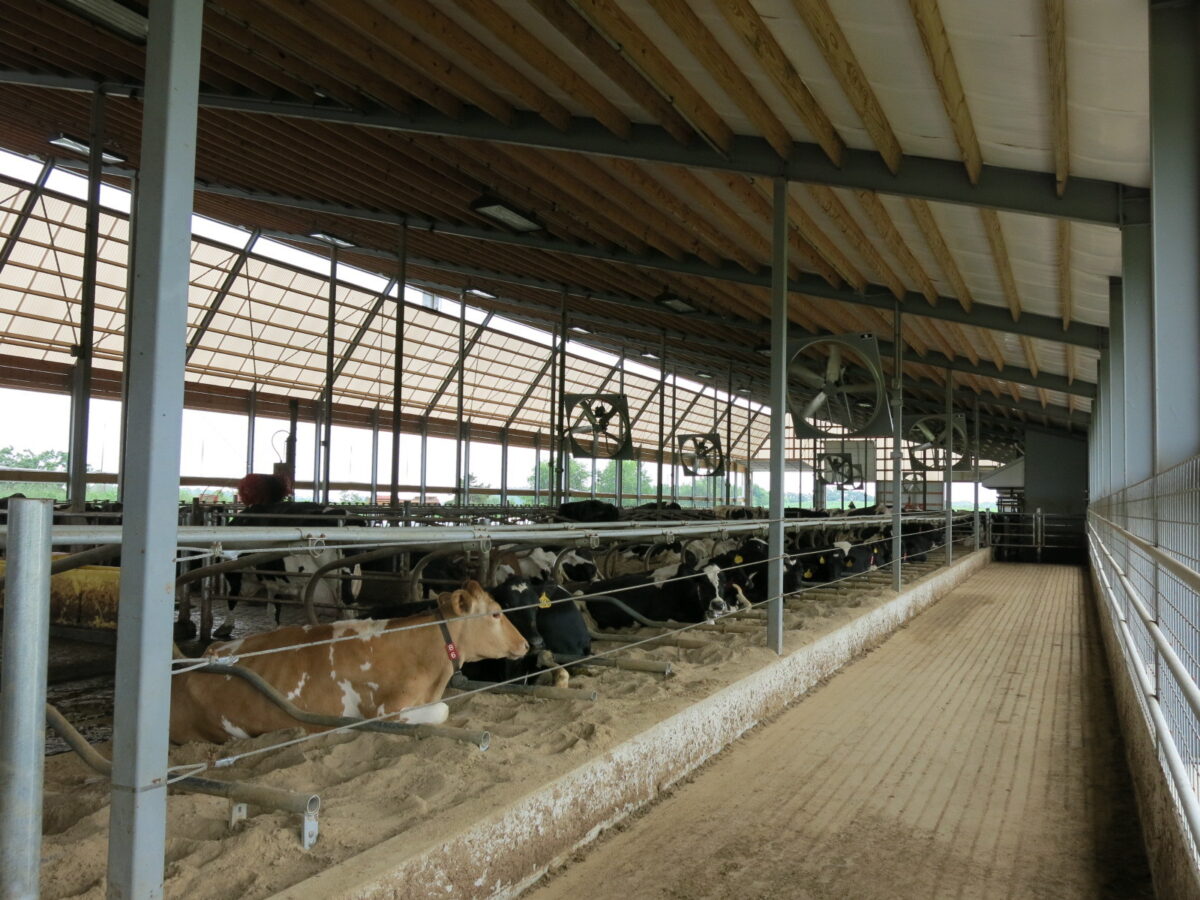 Automated Milking System Barn A - The Dairyland Initiative