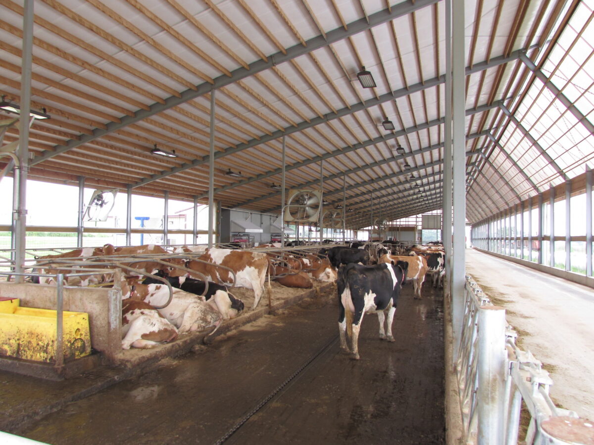 Automated Milking System Barn A - The Dairyland Initiative