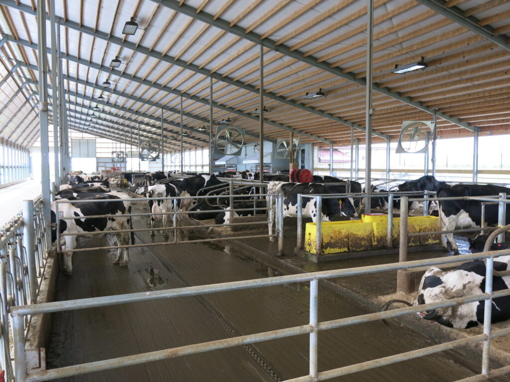 Automated Milking System Barn A - The Dairyland Initiative