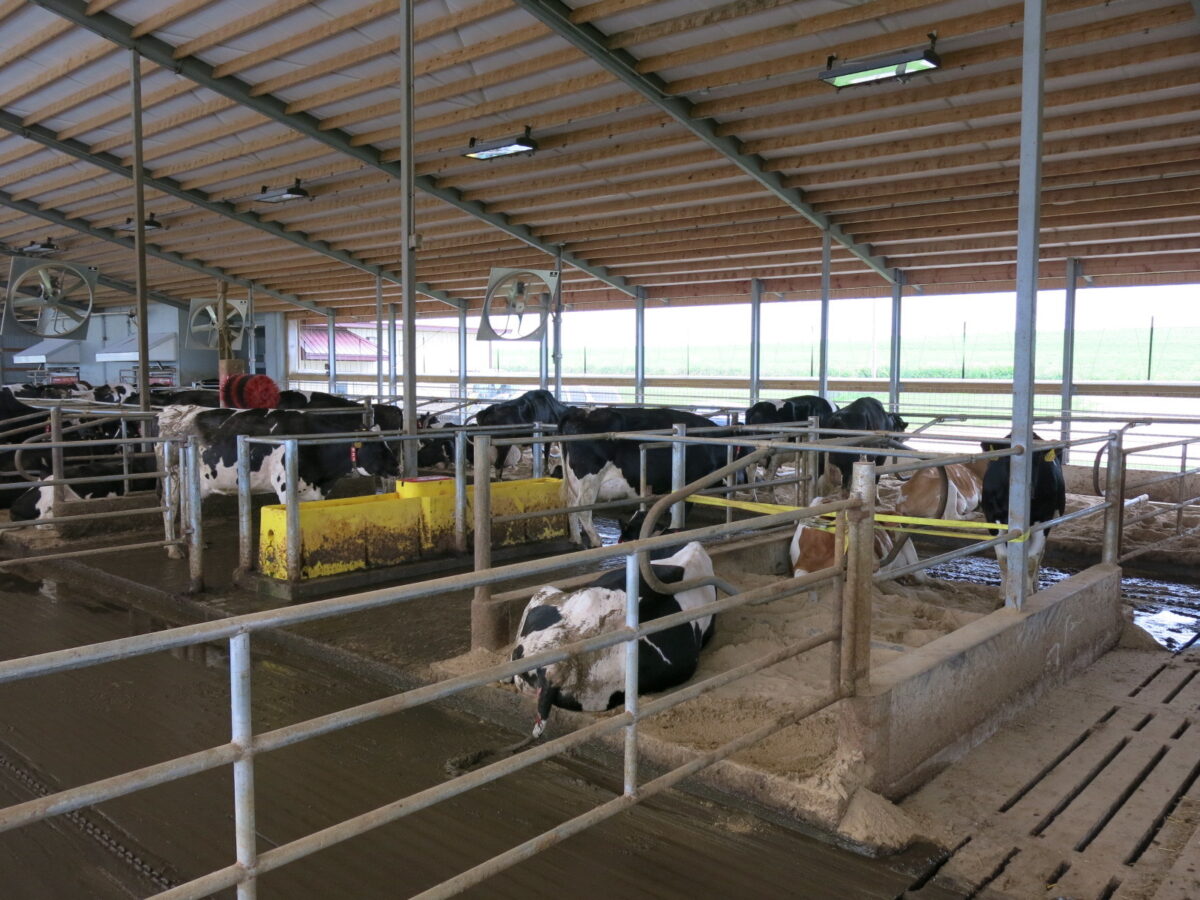 Automated Milking System Barn A - The Dairyland Initiative